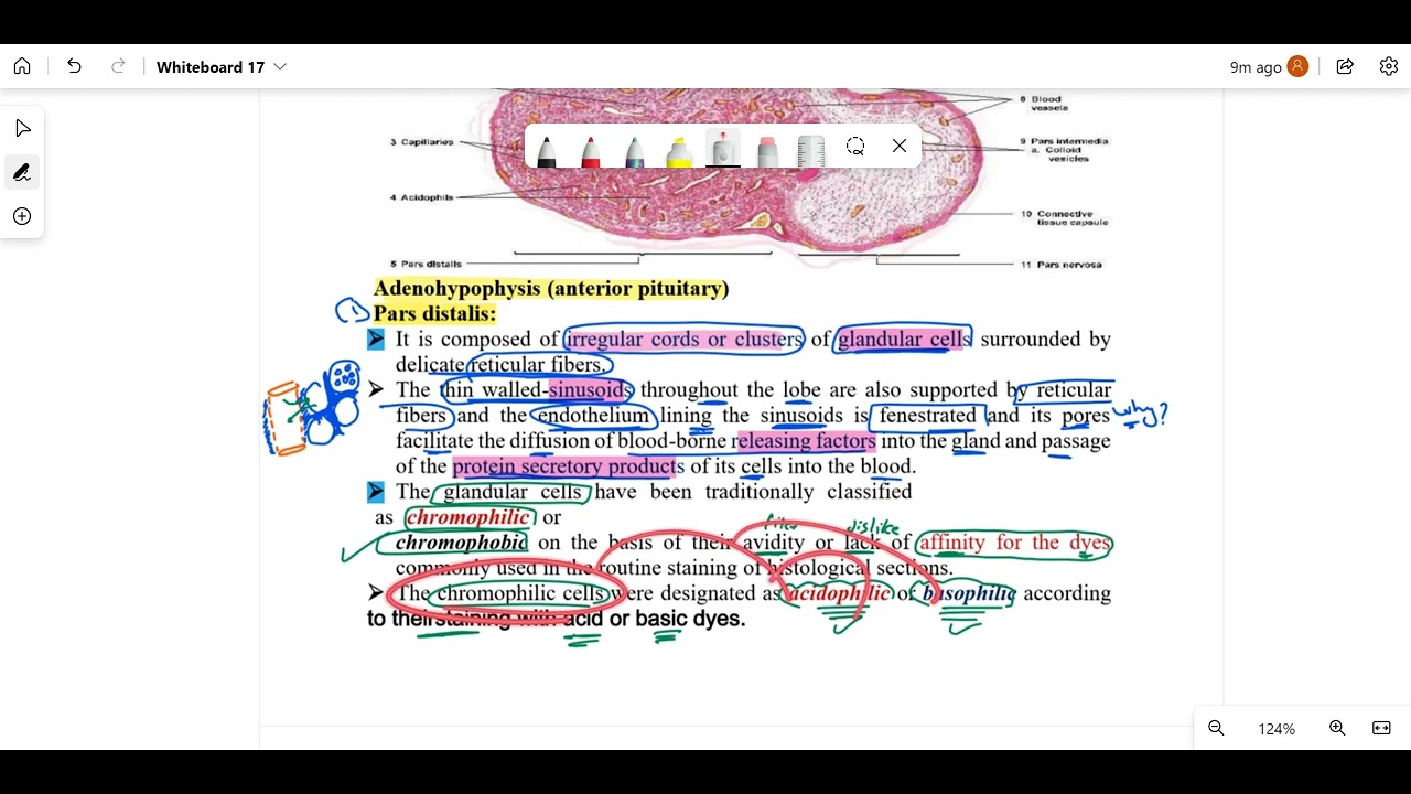 (L1-2-3) - Histology - YouTube