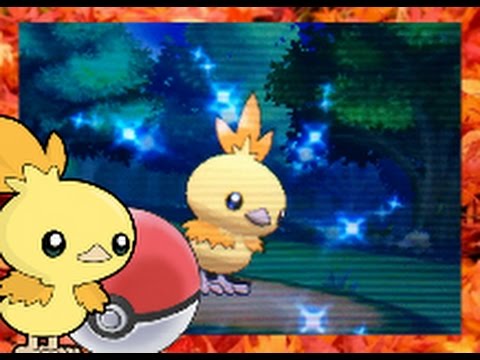 Live Sparkles!!! Shiny Torchic after 7740 SR's in Omega Ruby!! New ...