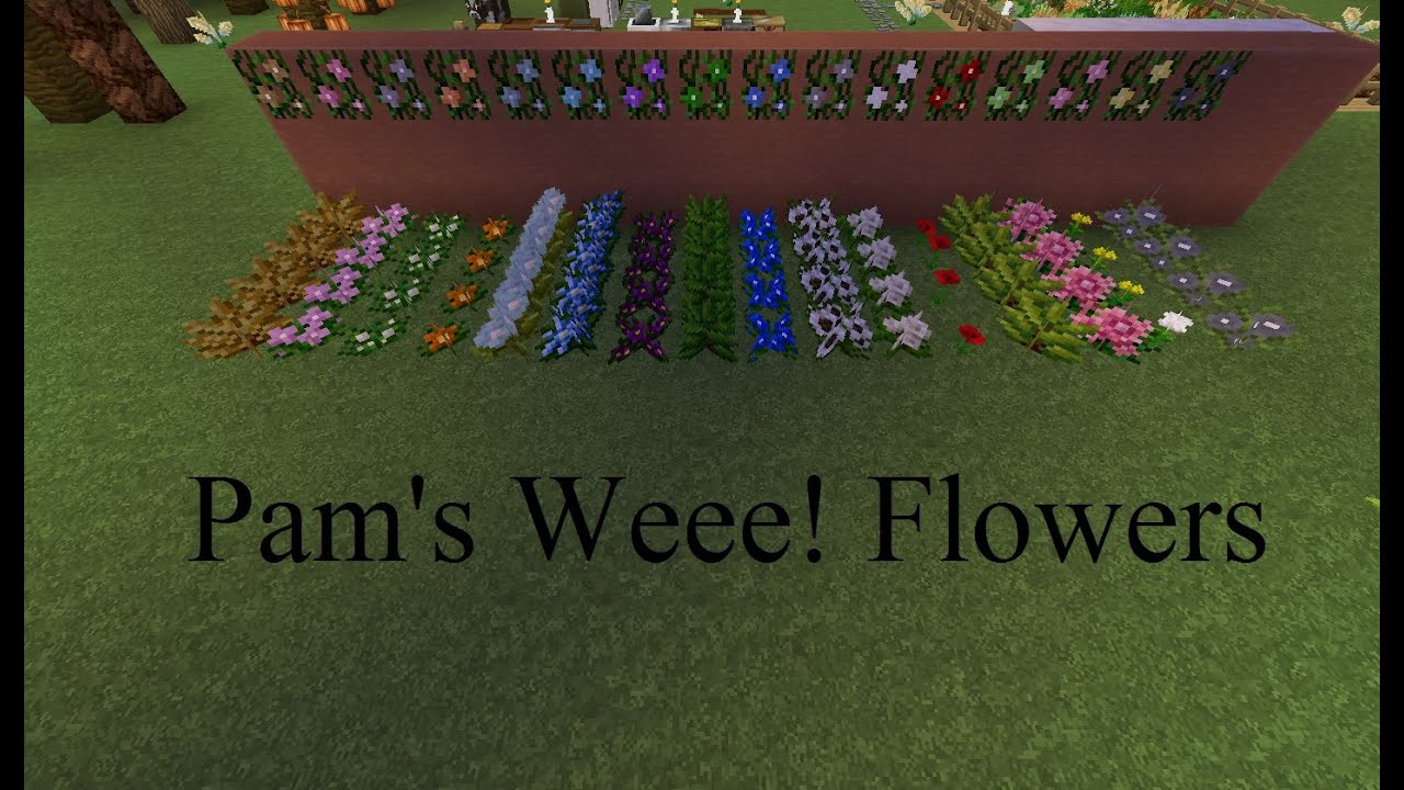 Episode 3: Pam's Weee! Flowers - YouTube