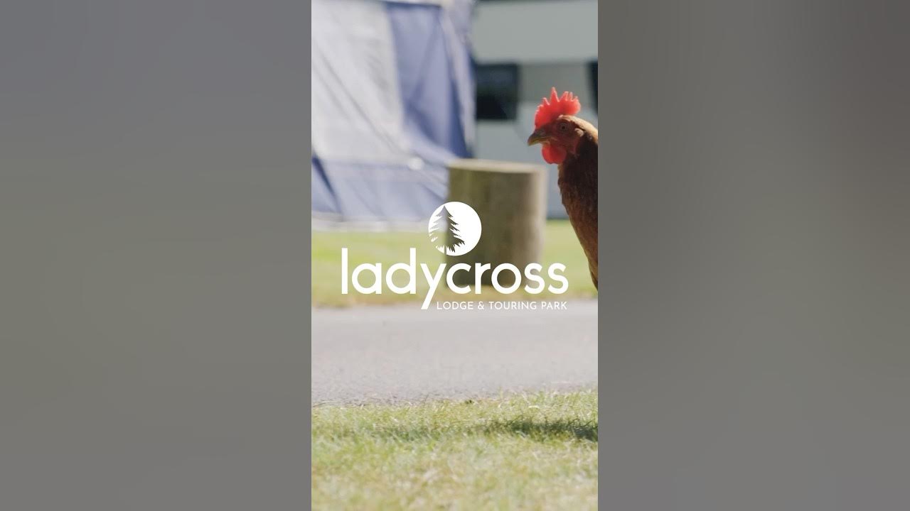 Anybody that stays at Ladycross will meet our 14 chickens. They are both friendly and free-range ...