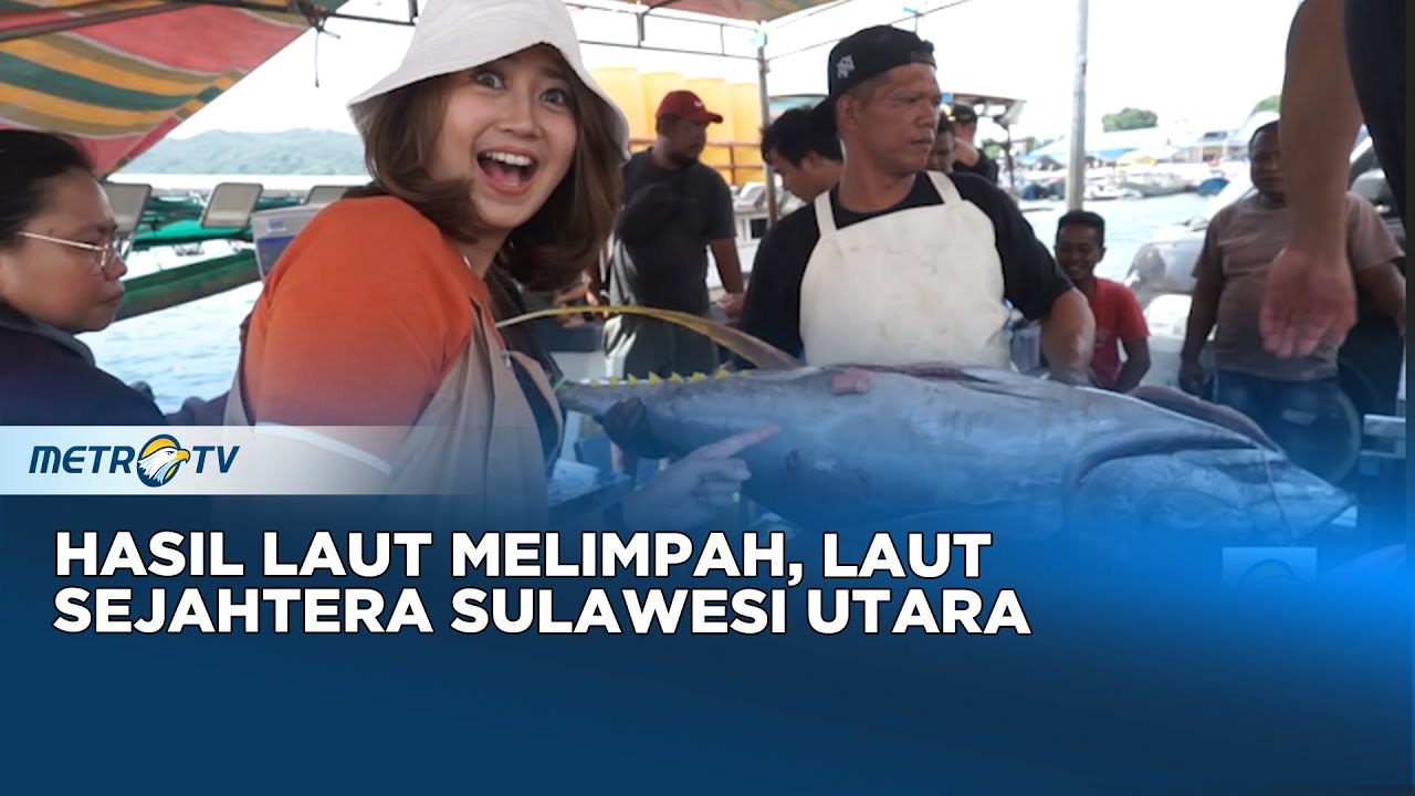 Melihat Langsung Ikan Tuna Segar Tangkapan Nelayan di Perairan Sulawesi ...