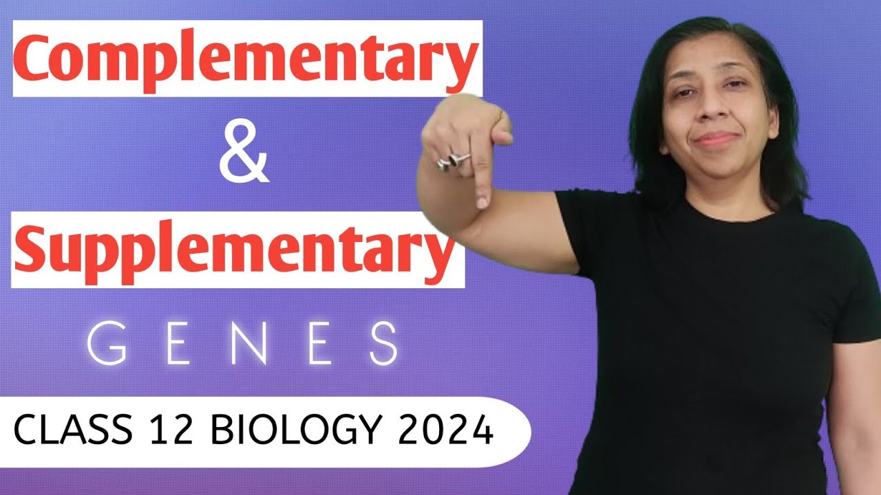 Complementary and Supplementary Genes | Principal of Inheritance and ...