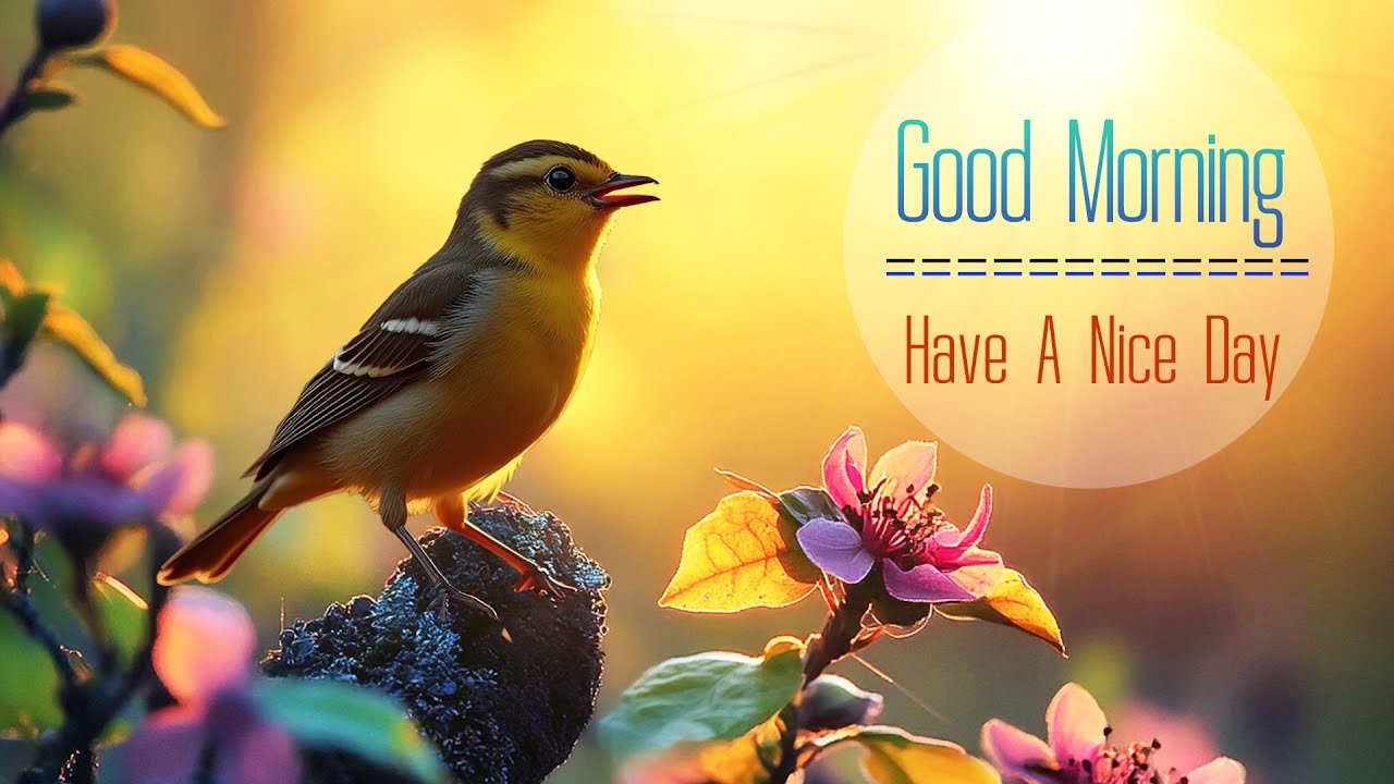 POWERFUL MORNING MUSIC - Euphoric Positive Energy & New Day Flow ...
