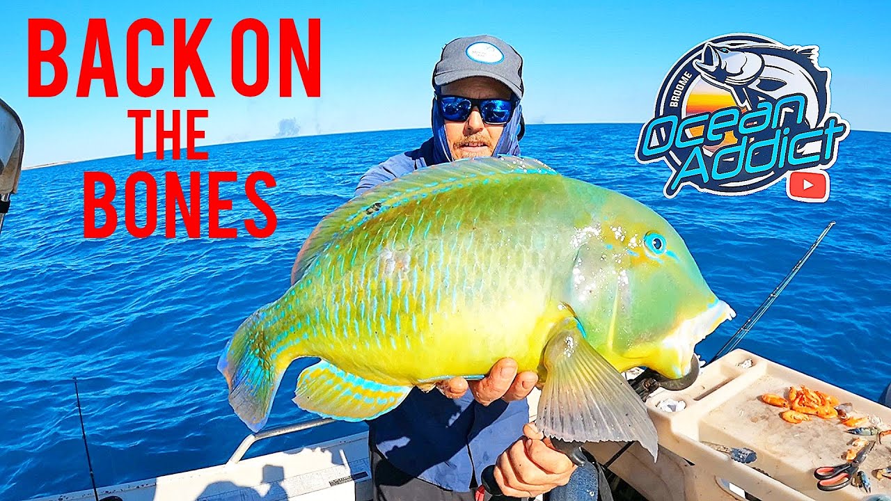 Bluebone|Tuskfish - The Best way to Present your Bait - For Big Fish ...