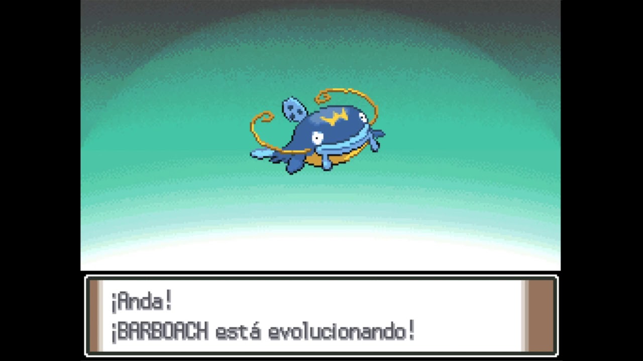 Evolución de BARBOACH - YouTube