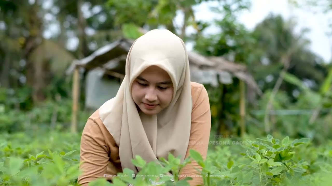 Merawat Kacang | Gadis Desa Yang Tangguh - YouTube