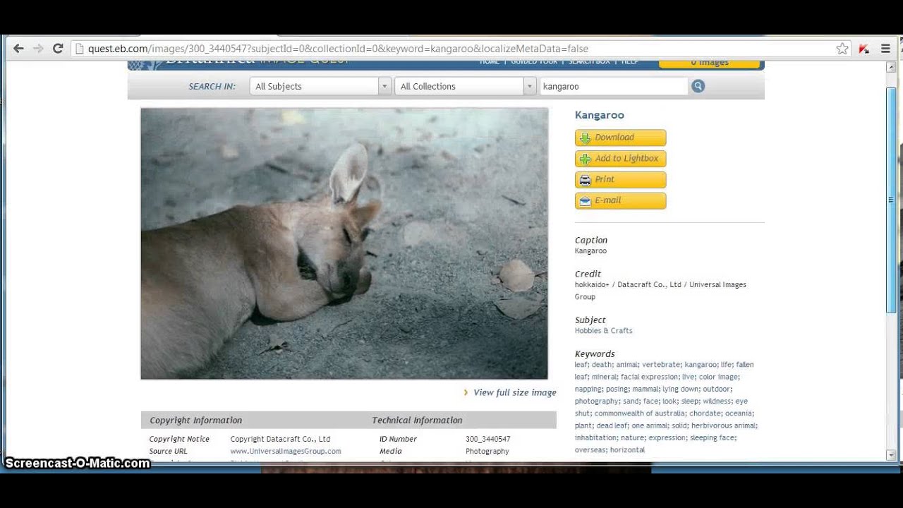 ImageQuest overview - YouTube