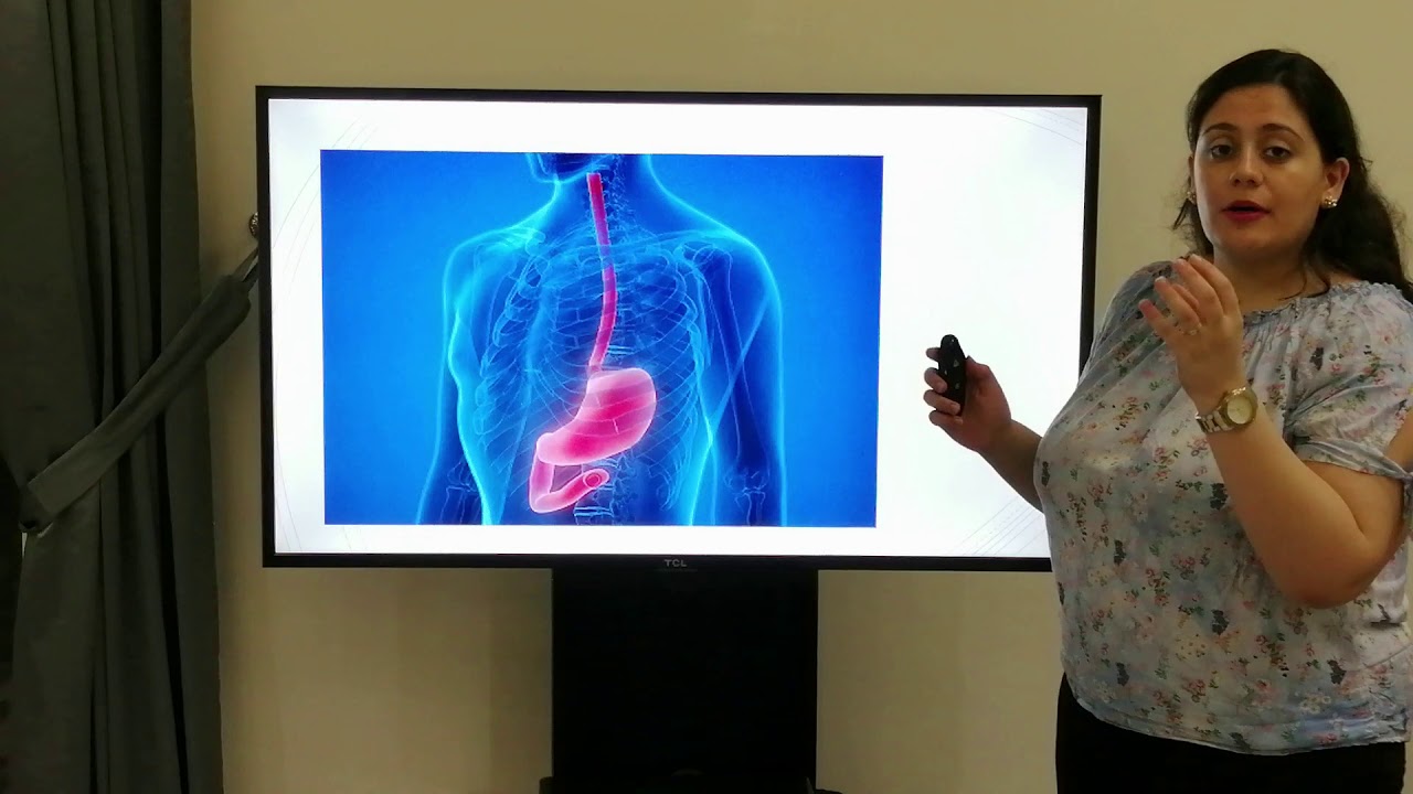 Que deviennent les aliments que nous mangeons? - YouTube