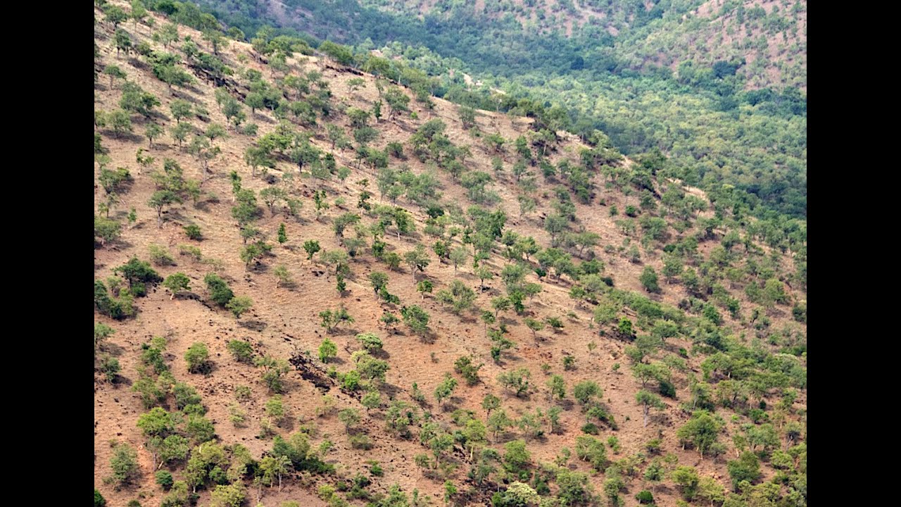 Understanding India's Open Natural Ecosystems - YouTube