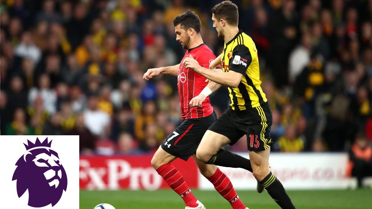 Southampton's Shane Long scores fastest goal in Premier League history ...