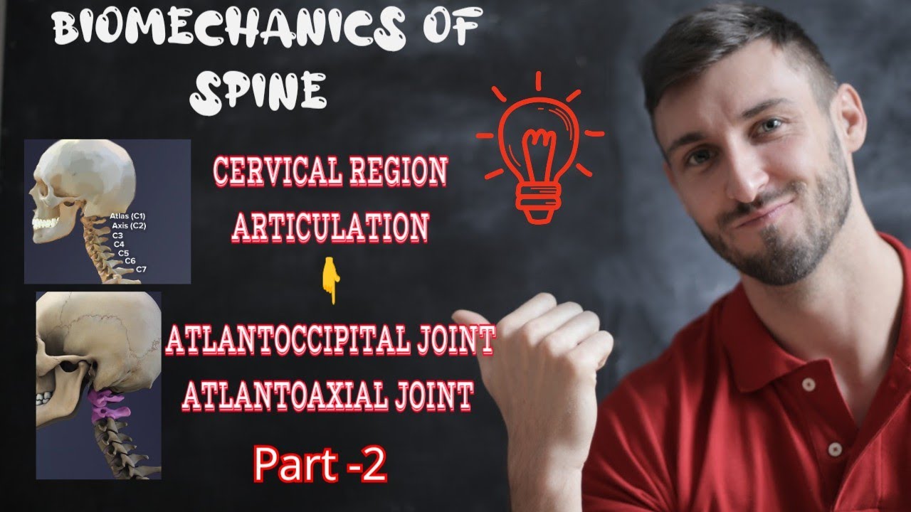 Articulation of cervical Region l biomechanics l spine - YouTube