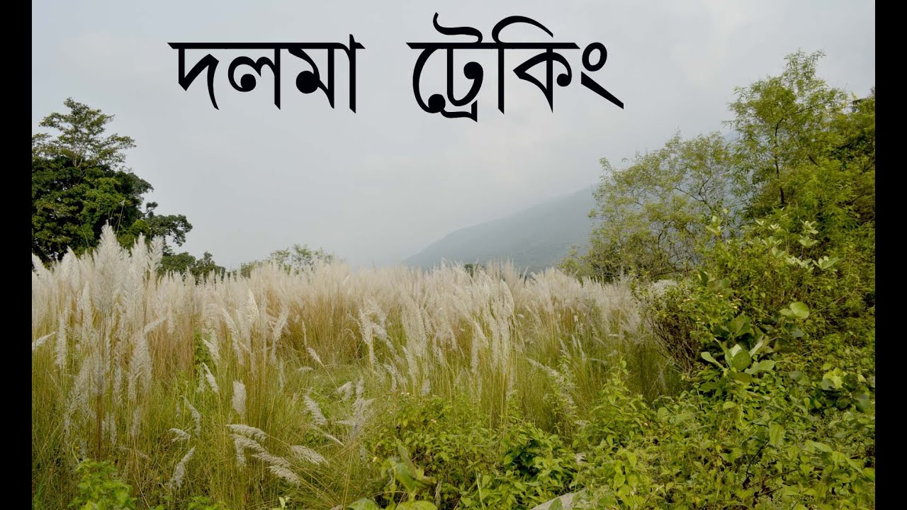 Dalma Trekking || Amazing Weekend Adventure || Dalma Wildlife Sanctuary ...