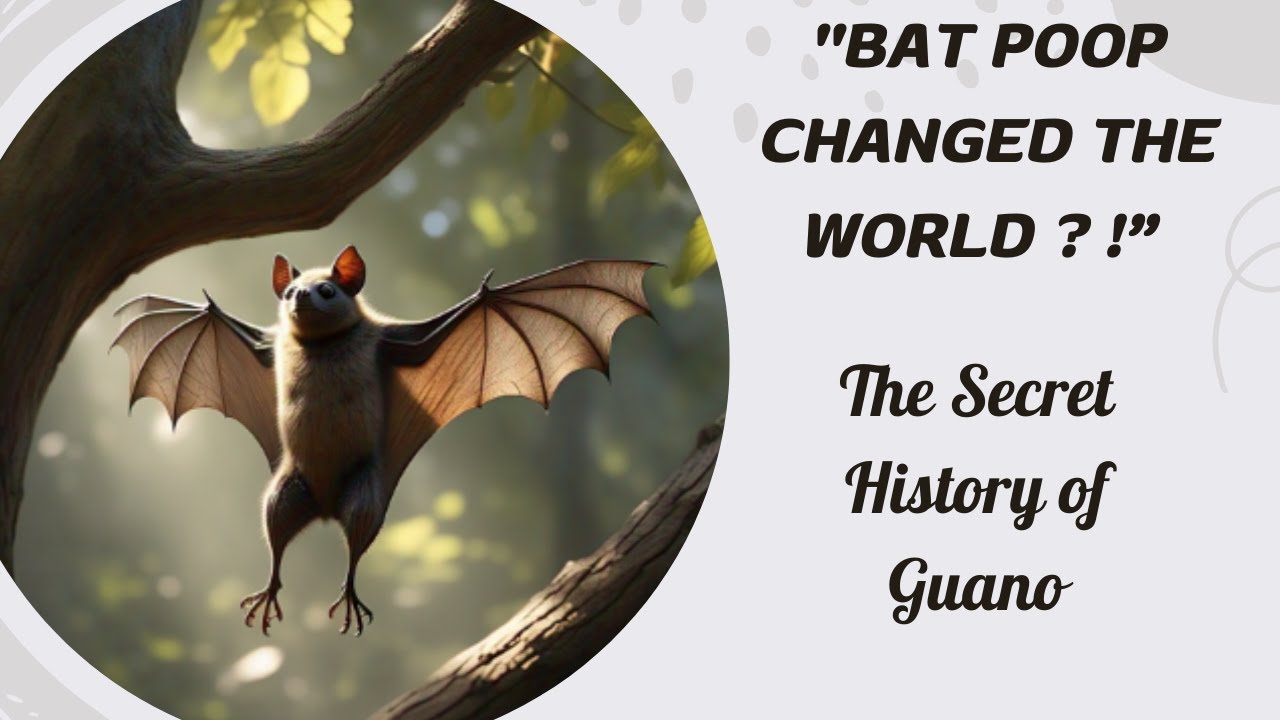 How Bat Poop Changed the World | The Surprising Power of Guano - YouTube
