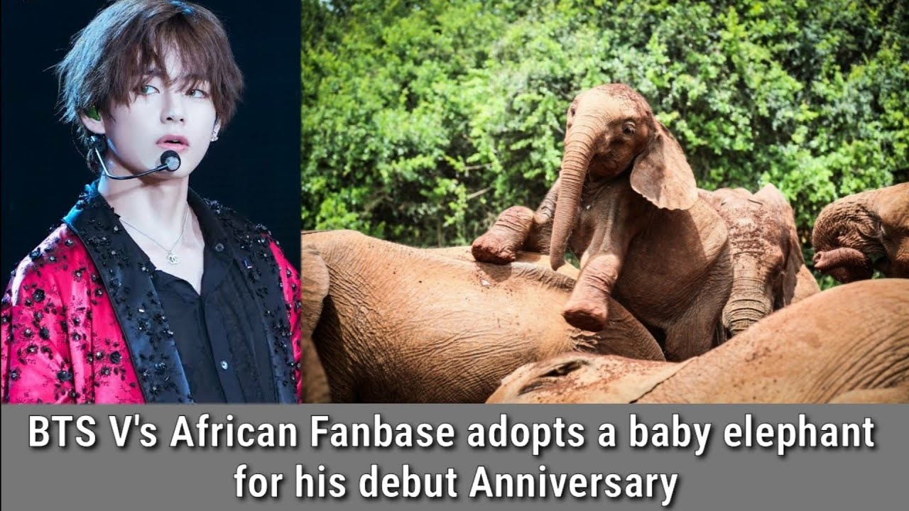 BTS V Debut Anniversary | BTS V's African Fanbase adopts a baby ...