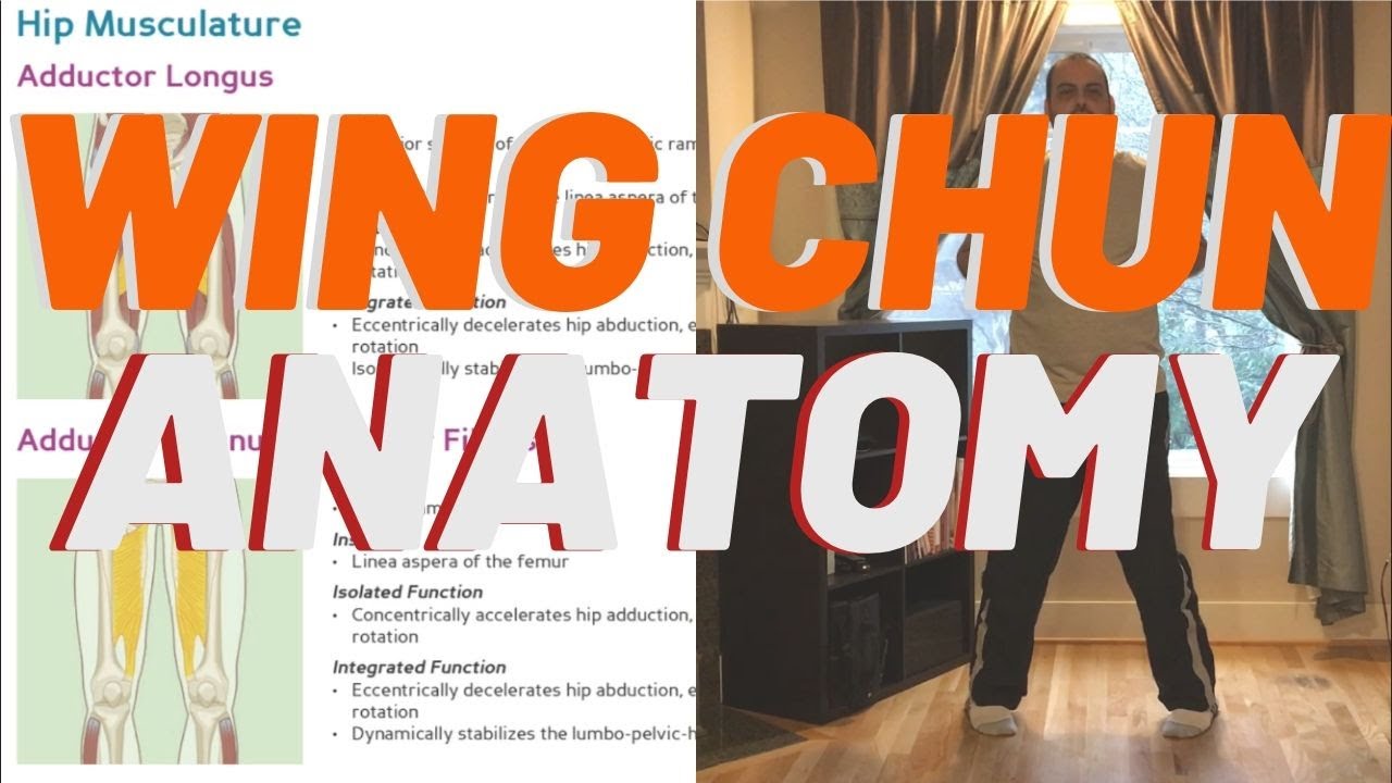 Learn the Wing Chun Stance with anatomy images, Wing Chun Techniques ...