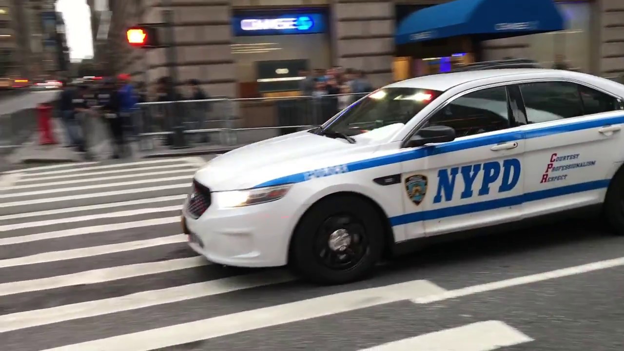 1 NYPD SLICKTOP CRUISER & 1 NYPD UNMARKED CRUISER PATROLLING ON PARK ...
