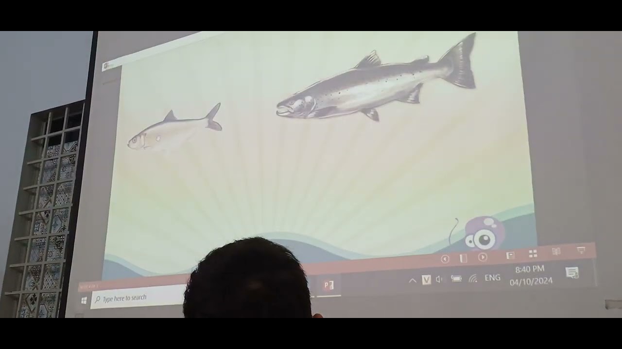 Ôn Tin NC - PPT (Phần 1) - YouTube