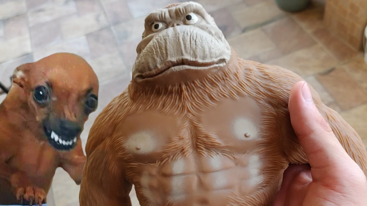 A Agitacao Do Macaco