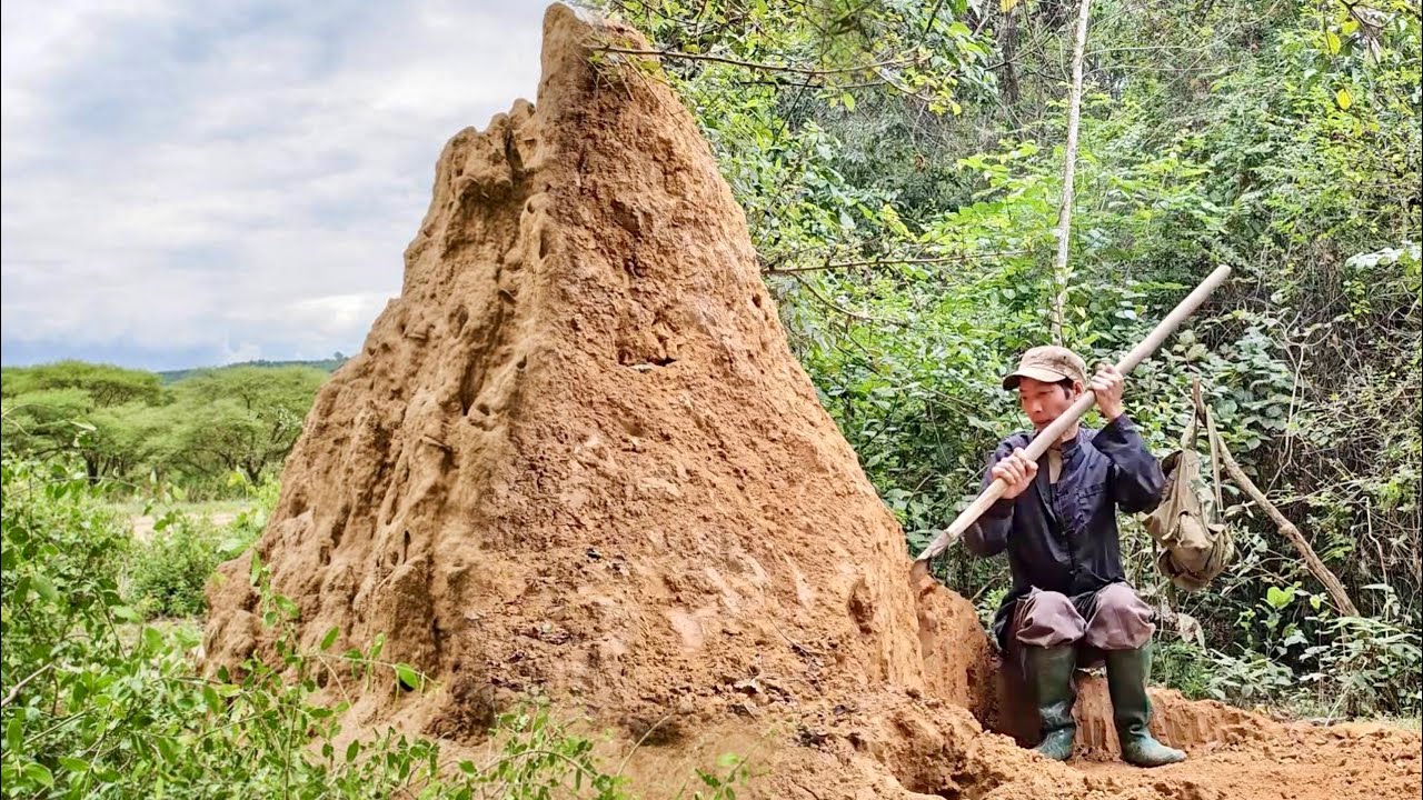 Hunting - Building Shelters With Termite Nests In The Deep Forest - YouTube