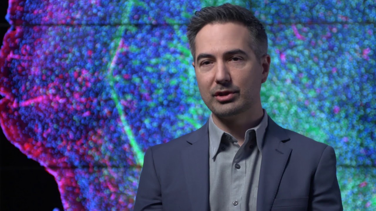 Dr Toby Merson - YouTube