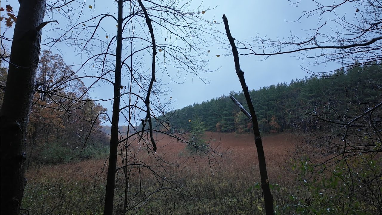 Hiking in the Rain in the Fall! - YouTube