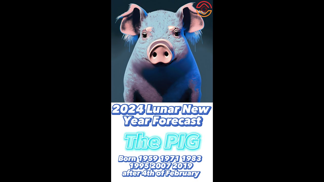 2024 CNY Zodiac Forecast - PIG - YouTube