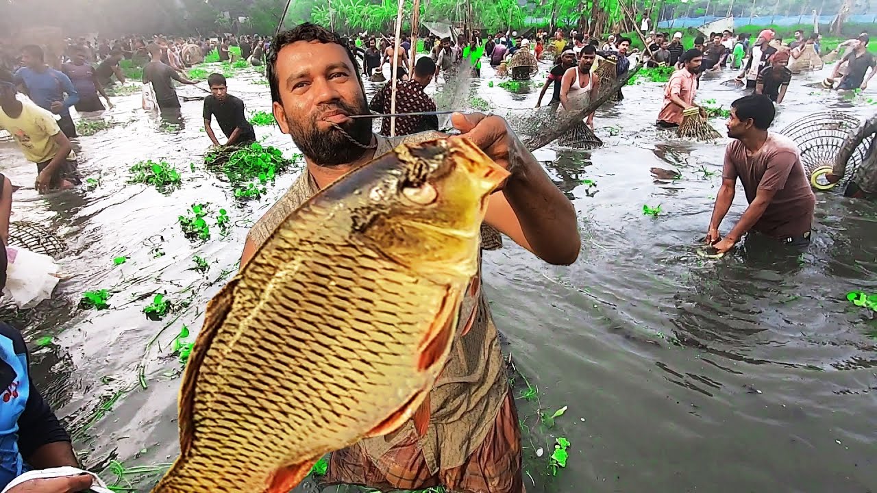 Best Amazing Big Fish Hunting | Real Natural Bill In Polo Fishing - YouTube