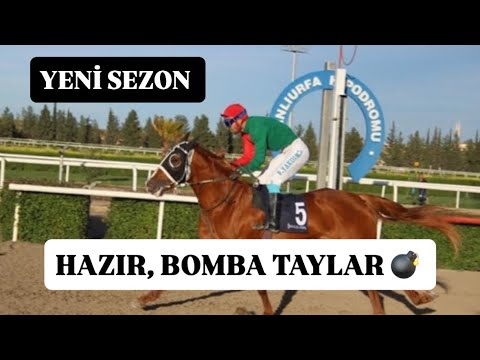 13 NİSAN PAZARTESİ 🗓️ Yeni sezon Tay yarışları, Bursa At Yarışı tahminleri.. 🐎🔚