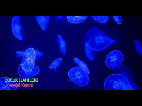 VEYSEL KARANİ - ÇOCUK İLAHİLERİ