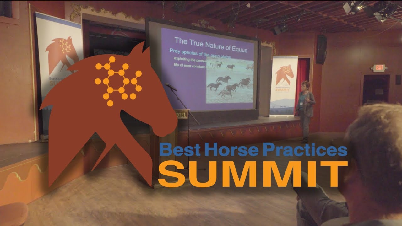 Dr. Sheryl King- Equine Behavior - YouTube