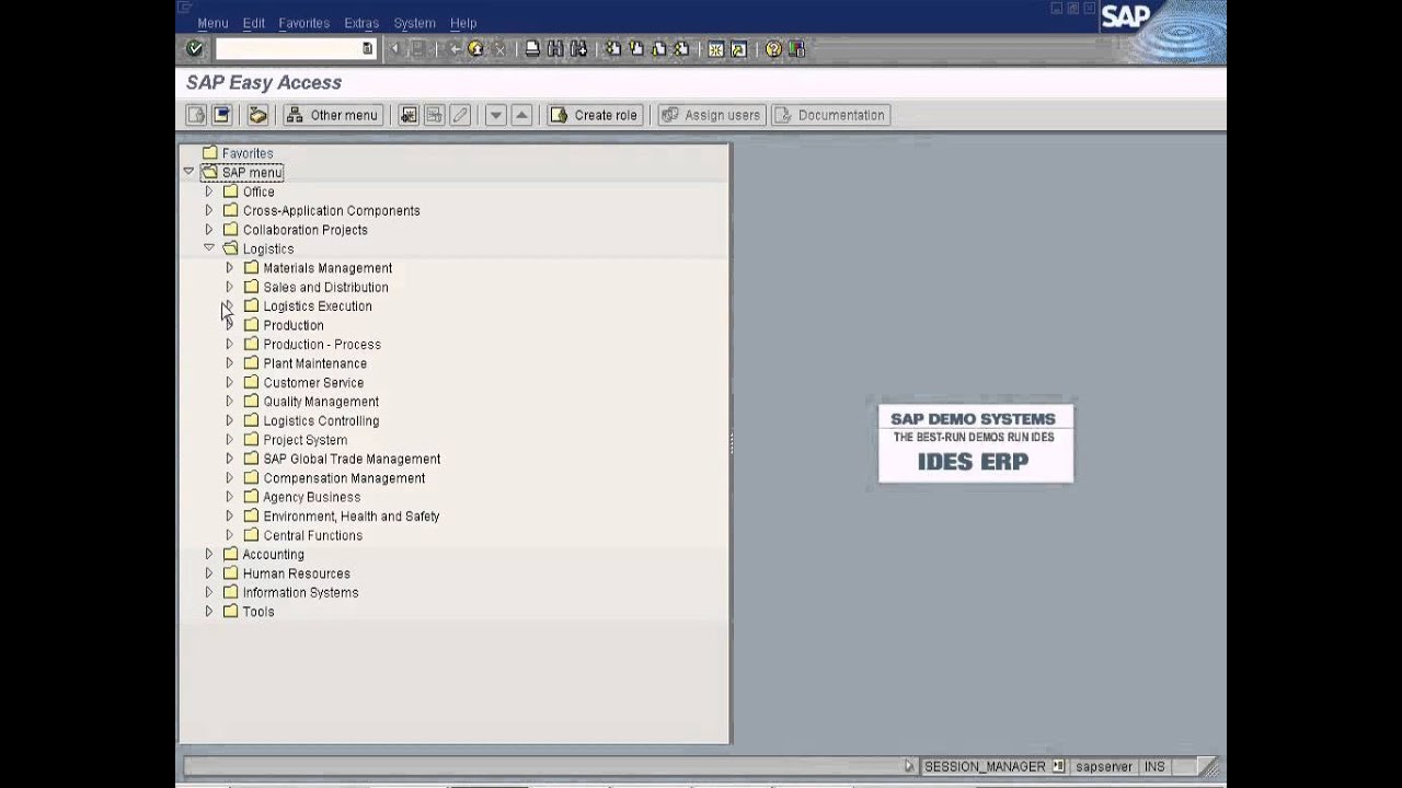 SAP Goods Issue - YouTube