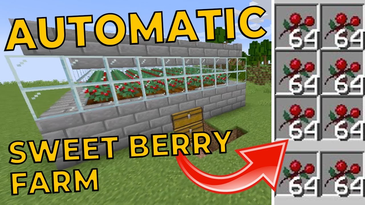 Automatic Sweet Berries Farm Minecraft Map – OG Artland