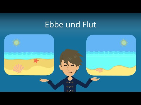 Ebbe und Flut: So entstehen sie! - Studyflix