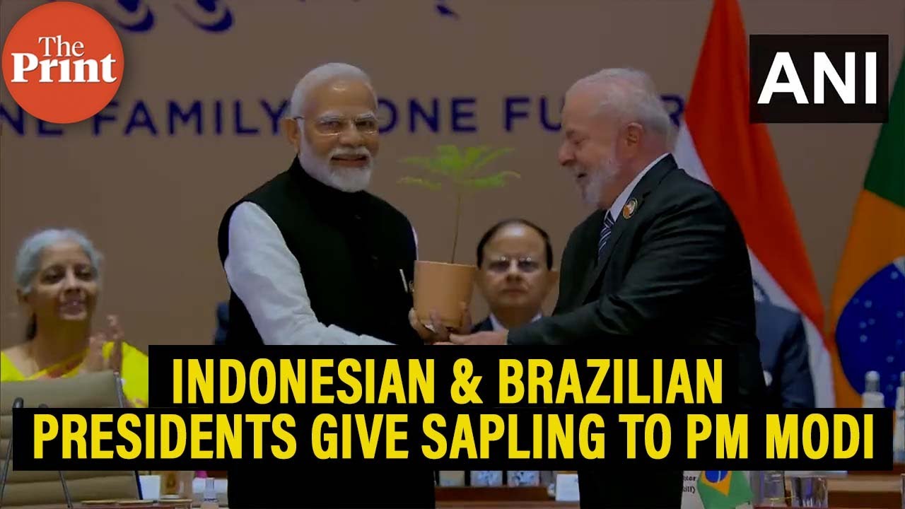 Watch: Indonesian & Brazilian President hand over a sapling to PM Modi ...
