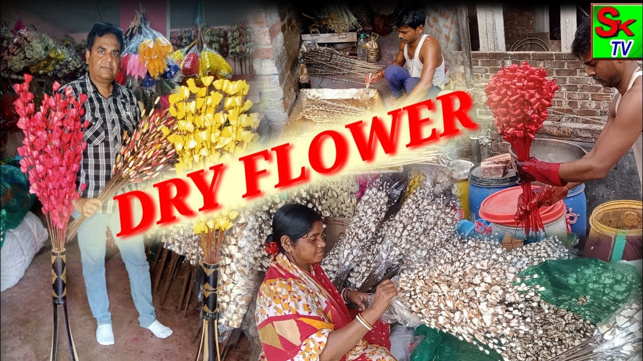 Dry Flower #kolkata #flowers /শুকনো ফুল। - YouTube
