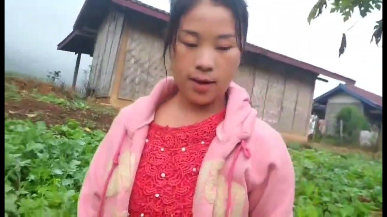 sawv ntxov mus de zaub los ua tshai noj October 27, 2023 - YouTube