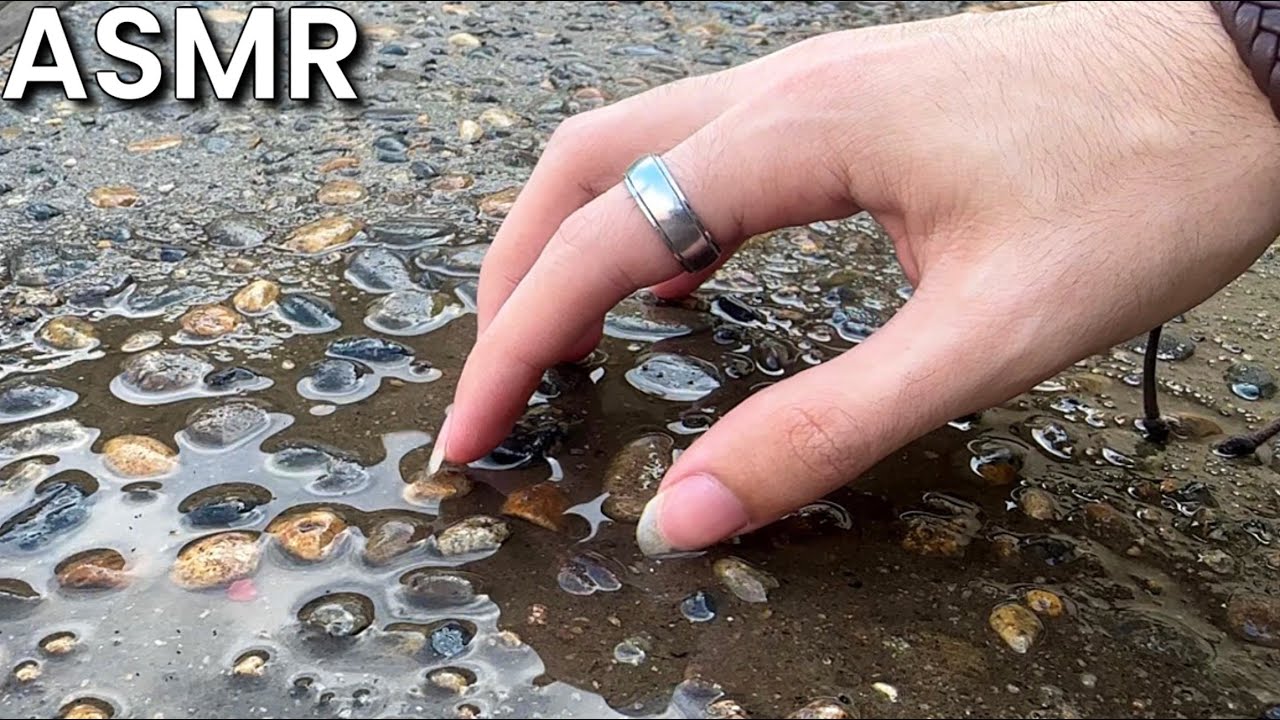 ASMR in the Rain - Tapping & Scratching Outdoors 🌧️ - lofi - YouTube