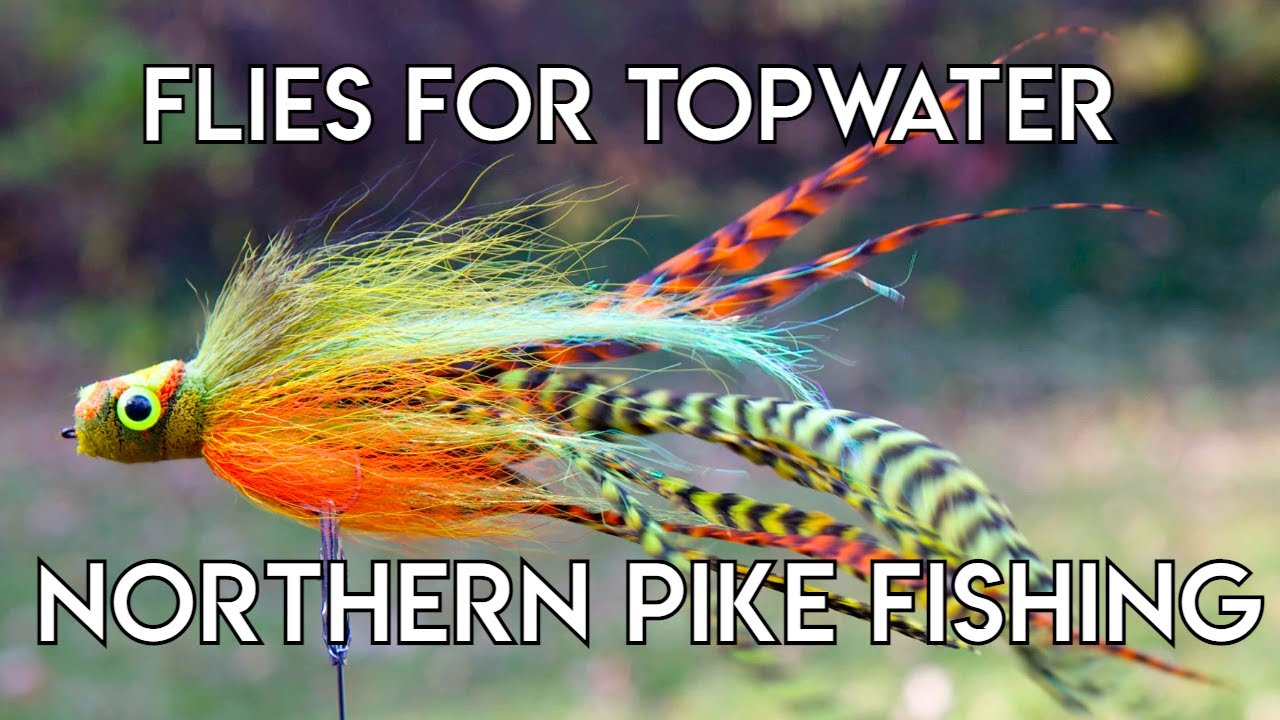 Topwater Flies for Northern Pike - YouTube