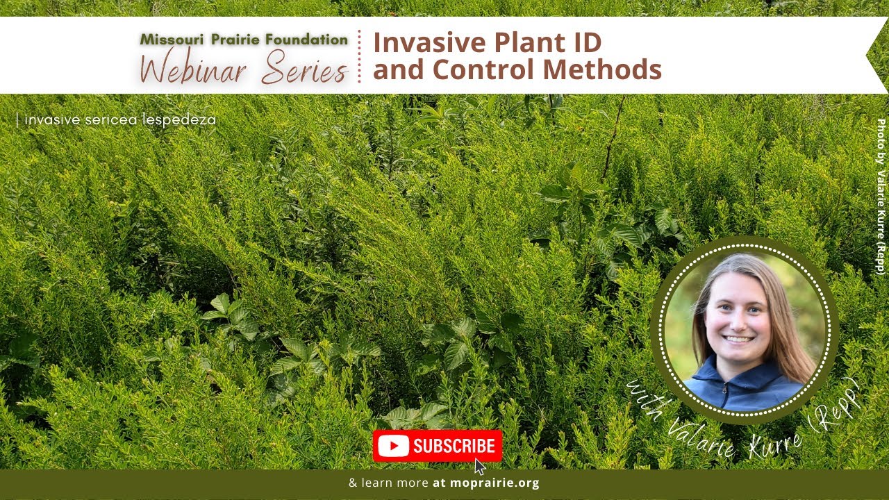 MPF Webinar: Invasive Plant ID & Control Methods - YouTube