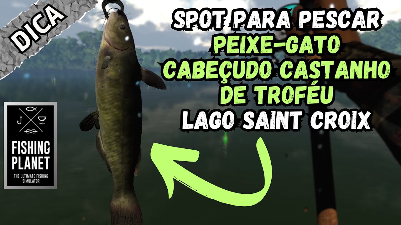 PESCANDO PEIXE GATO CABEÇUDO CASTANHO DE TROFÉU NO LAGO SAINT CROIX ...