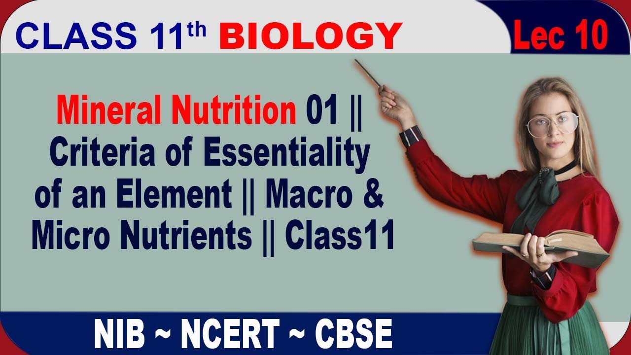 Mineral Nutrition 01 || Criteria of Essentiality of an Element || Macro ...