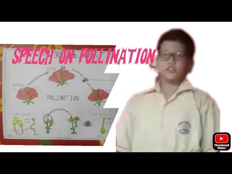 speech on pollination and self and cross pollination with chart - YouTube