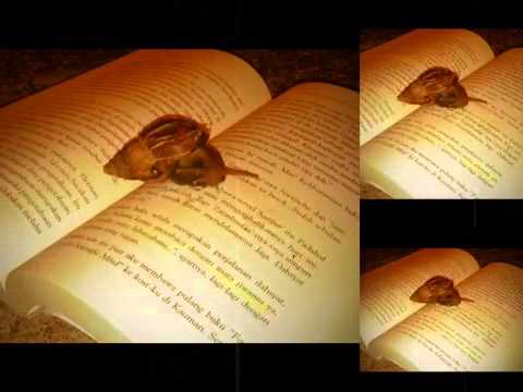 Nekromantik 2 Soundtrack Music By Mark Reeder - YouTube