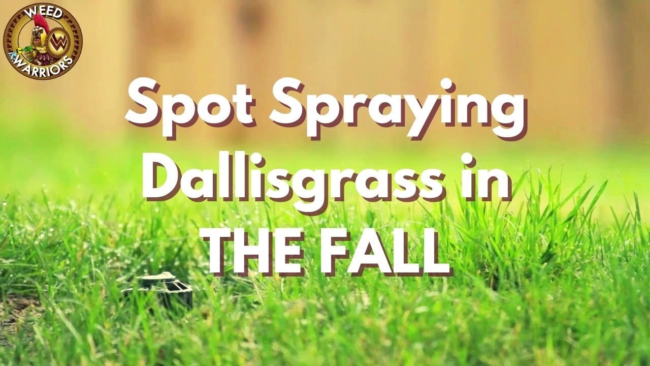 Spot Spraying Dallisgrass in the Fall - YouTube