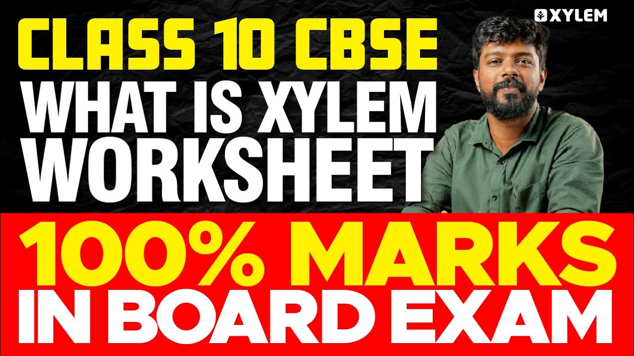 Class 10 CBSE What is Xylem Worksheet | 100% Marks in Board Exam ...