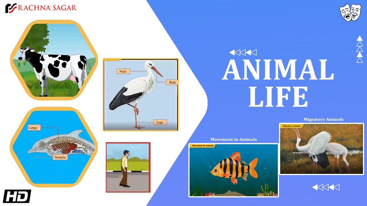Animal Life | Be a Scientist Class 5 | Best Learning videos For ...