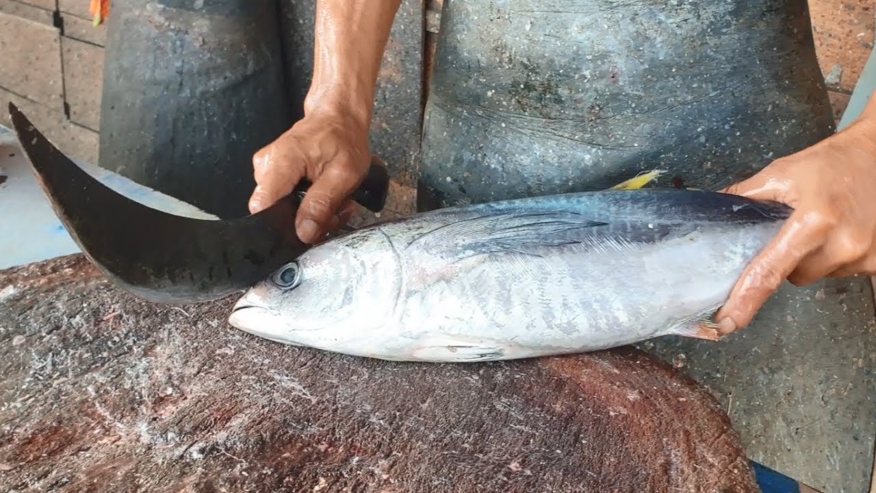 Skills to Cut Tuna Fish Quickly in Minutes! - YouTube