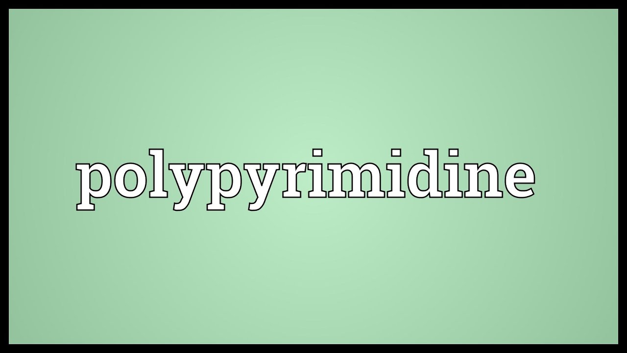 Polypyrimidine Meaning - YouTube