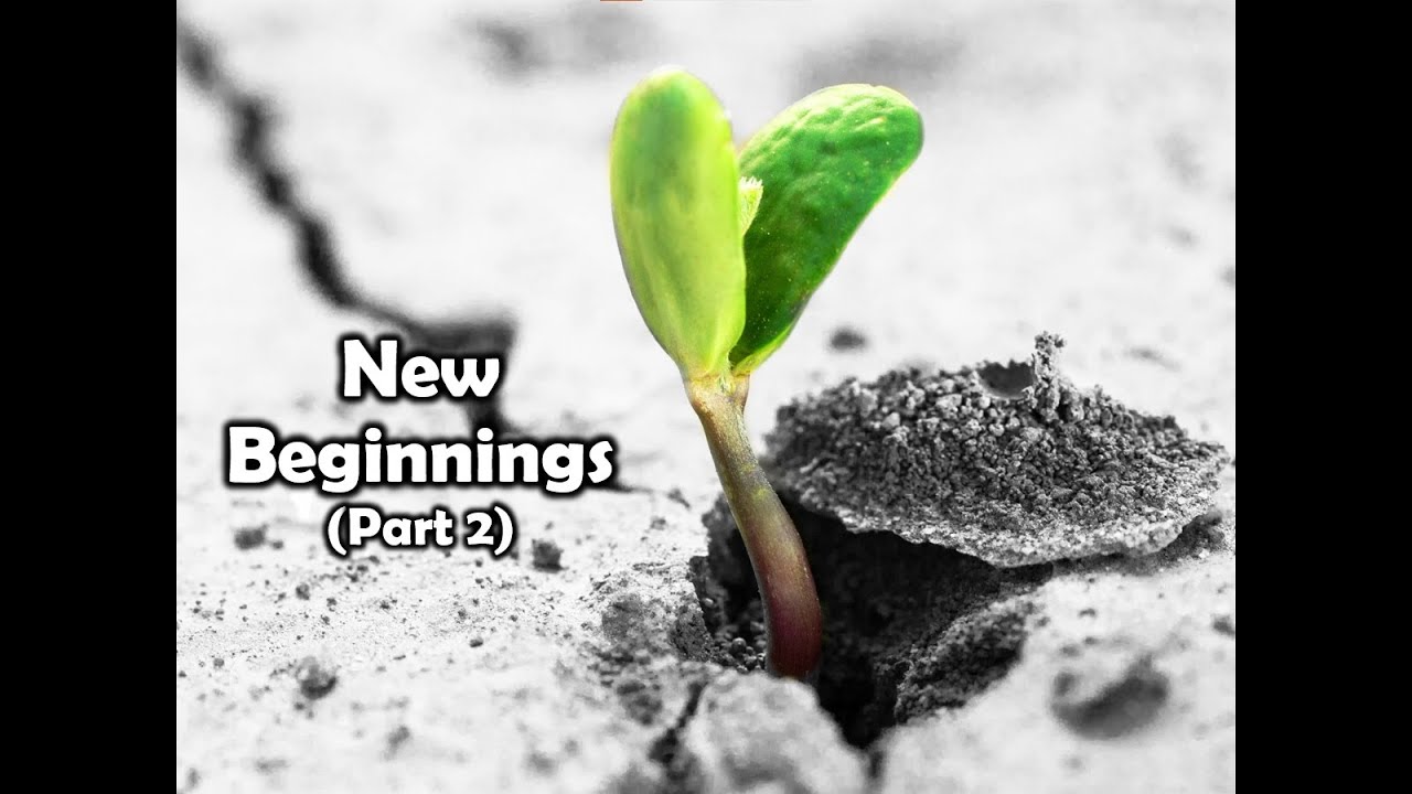 NEW BEGINNINGS (Part 2) - YouTube