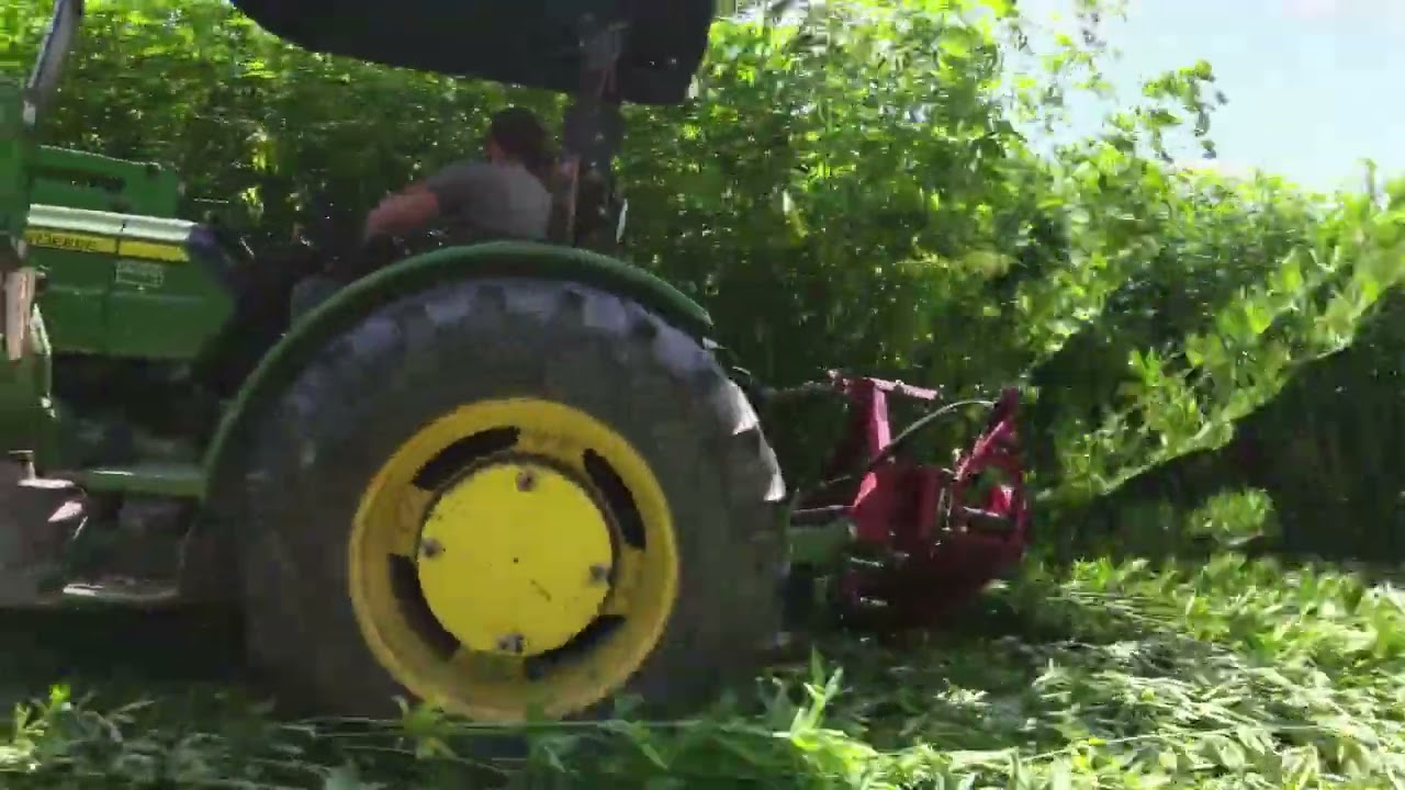 I&J Sickle Mower - Hemp - YouTube